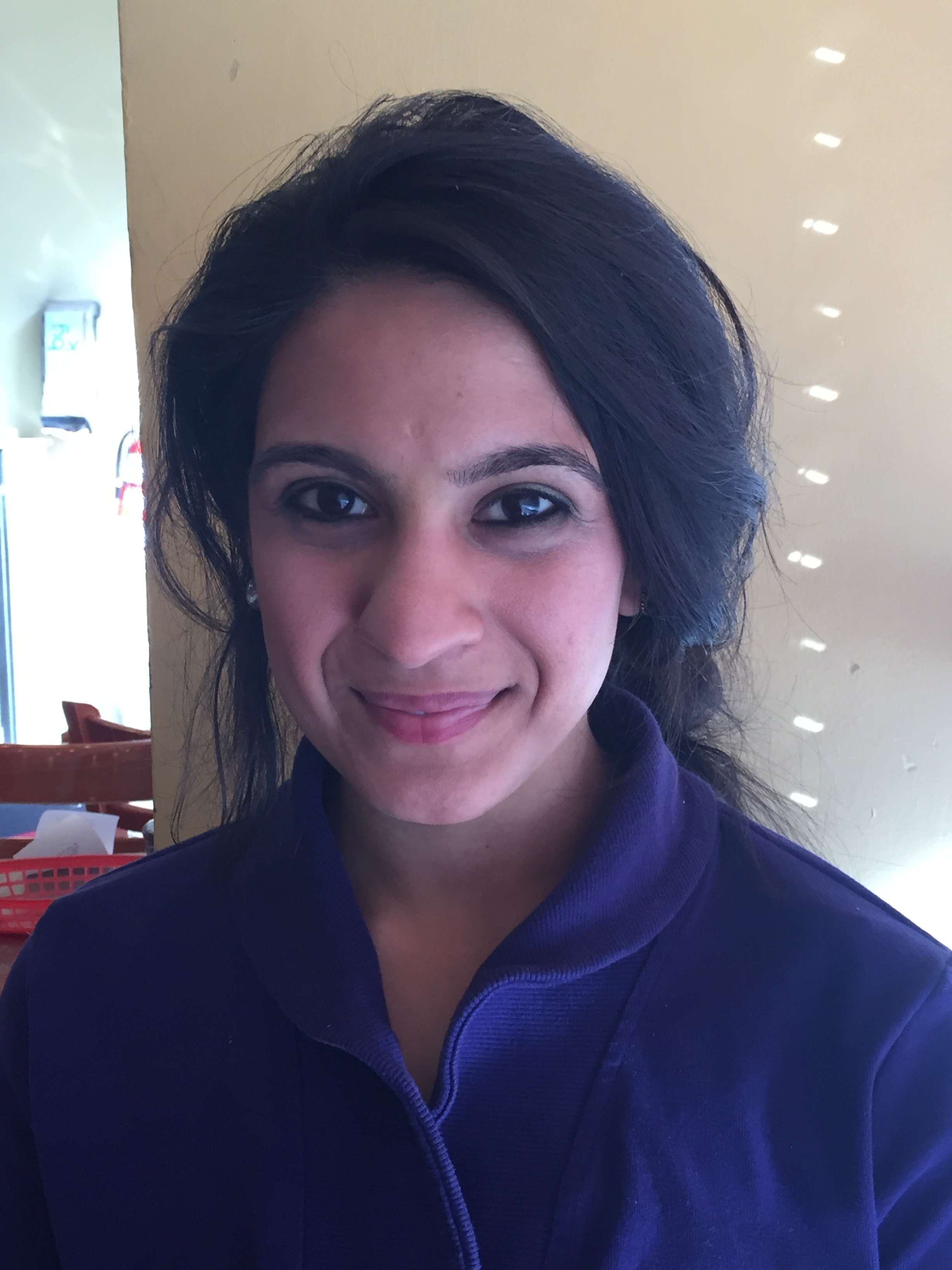 Educators and Students: Meet Fault Lines in the Constitution – Fault ...